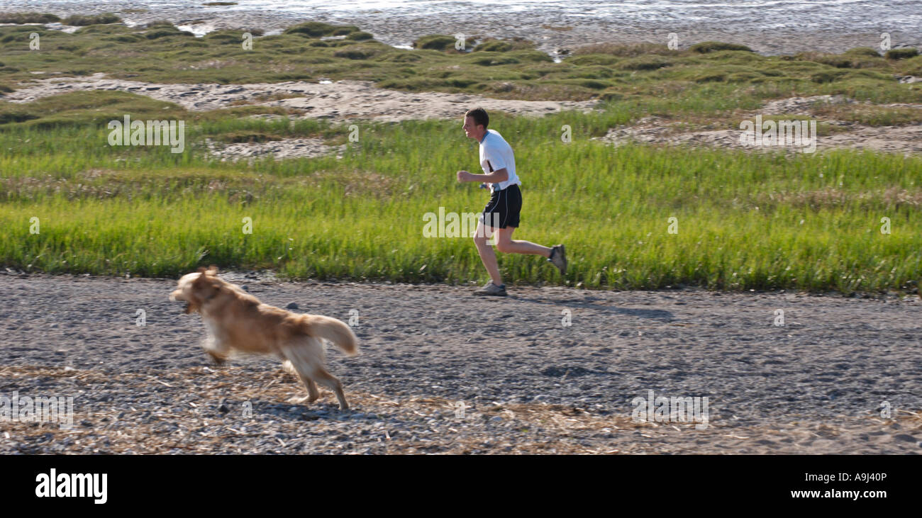 Running with the Dog Stock Photo - Alamy