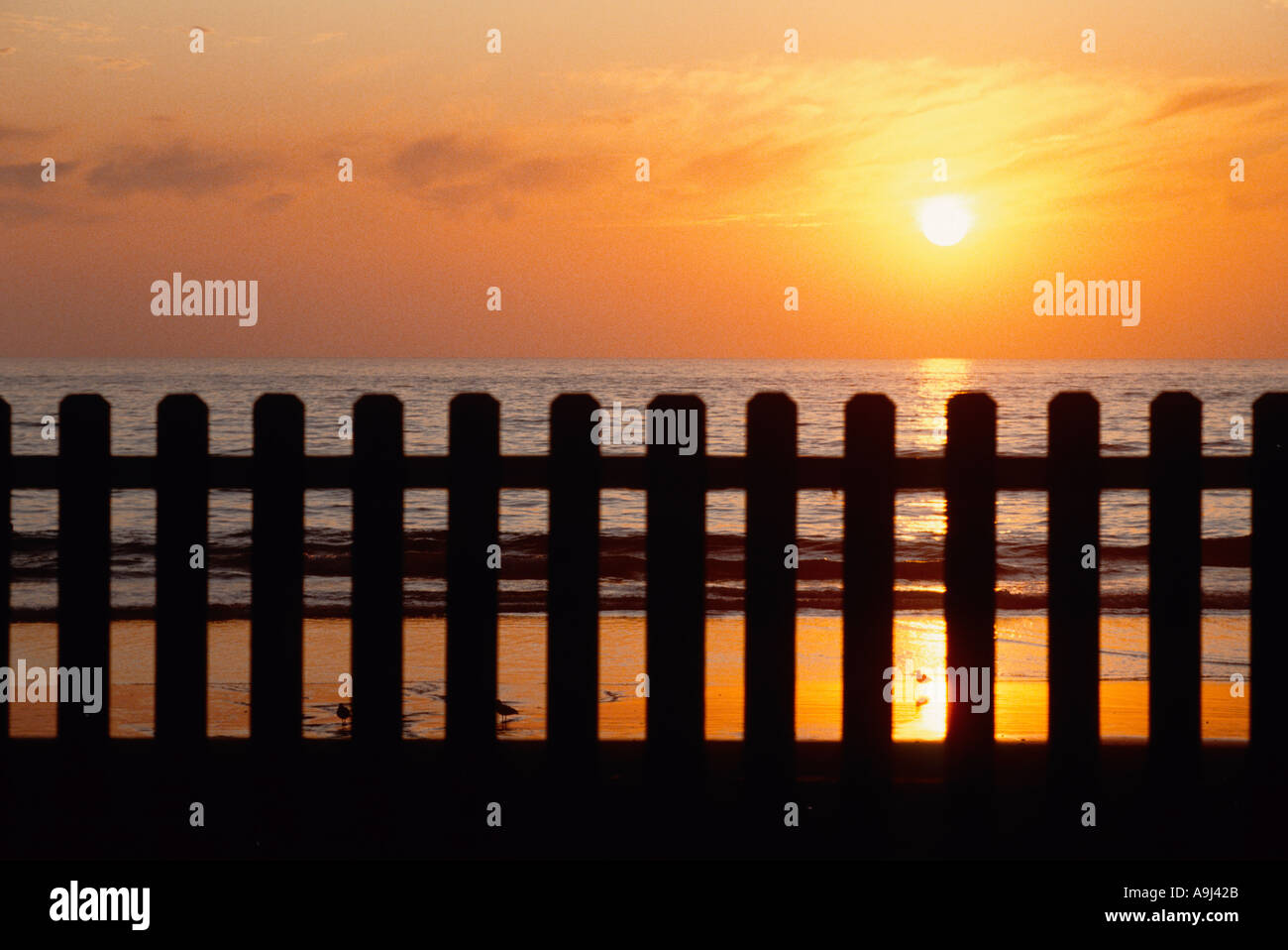 a white picket fence and the beach at sunset Stock Photo - Alamy