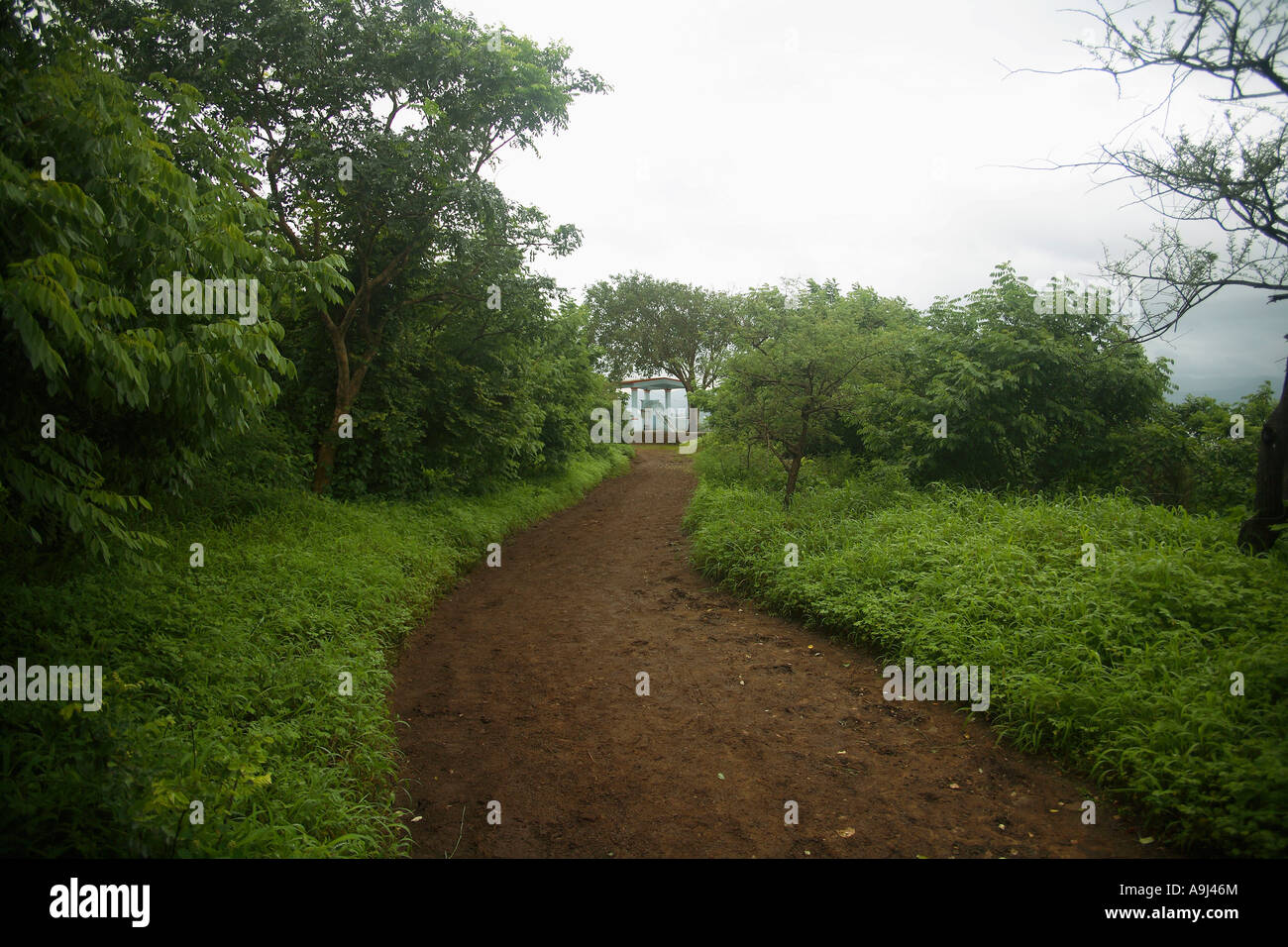 A path way on the hill, Pune, Maharashtra, India Stock Photo - Alamy