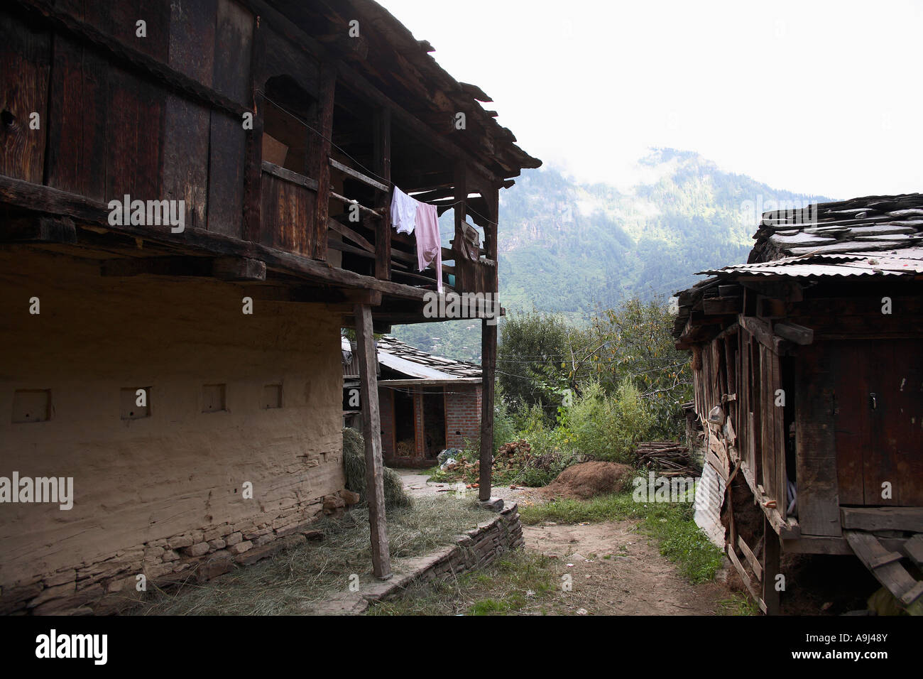 Village Manali, Himachal pradesh, India Stock Photo - Alamy