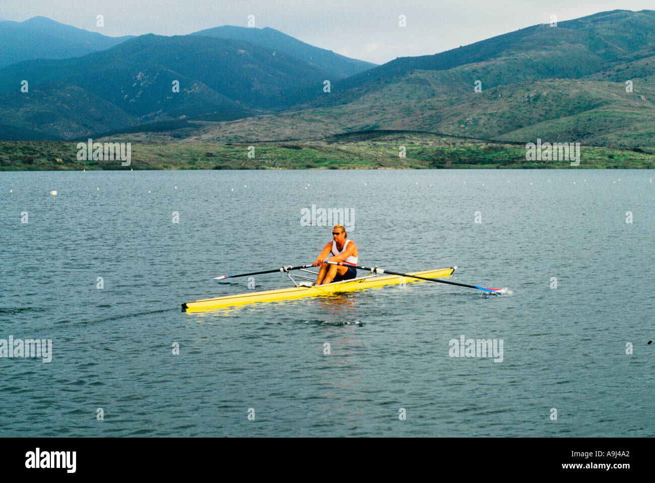 Row sport athlete oar oars hi-res stock photography and images - Alamy
