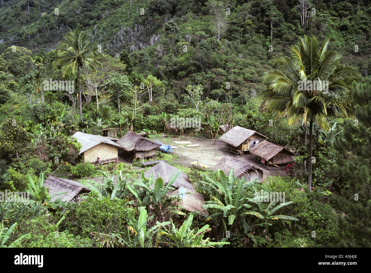 Papua New Guinea Village