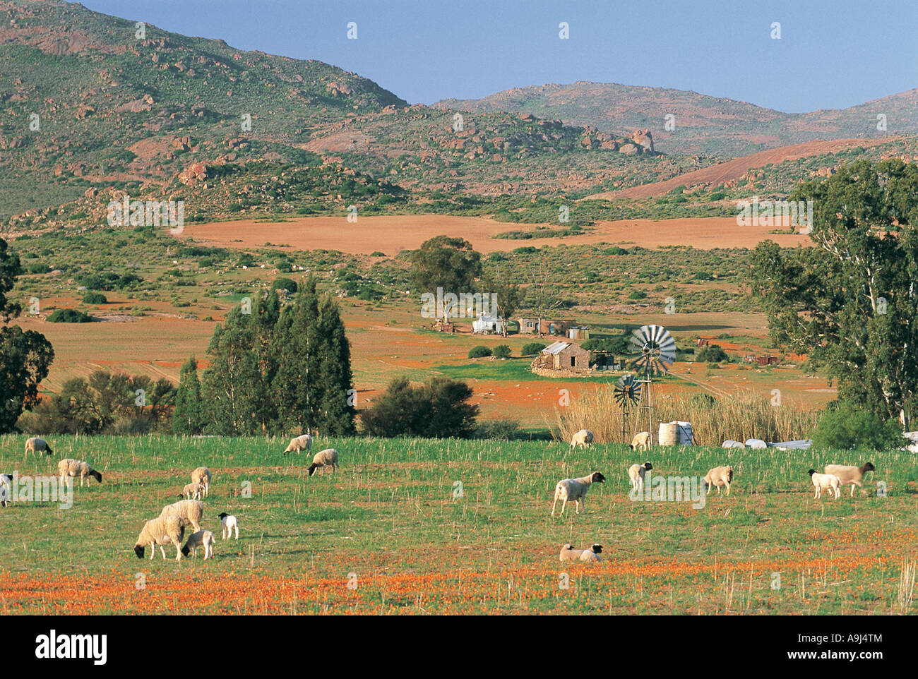 South africa wind farm hi-res stock photography and images - Alamy