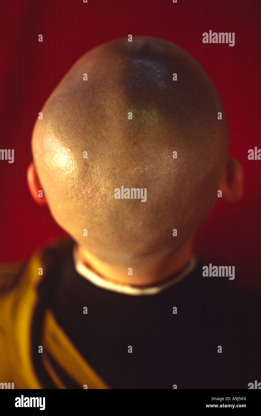 Japanese zen monk hi-res stock photography and images - Alamy