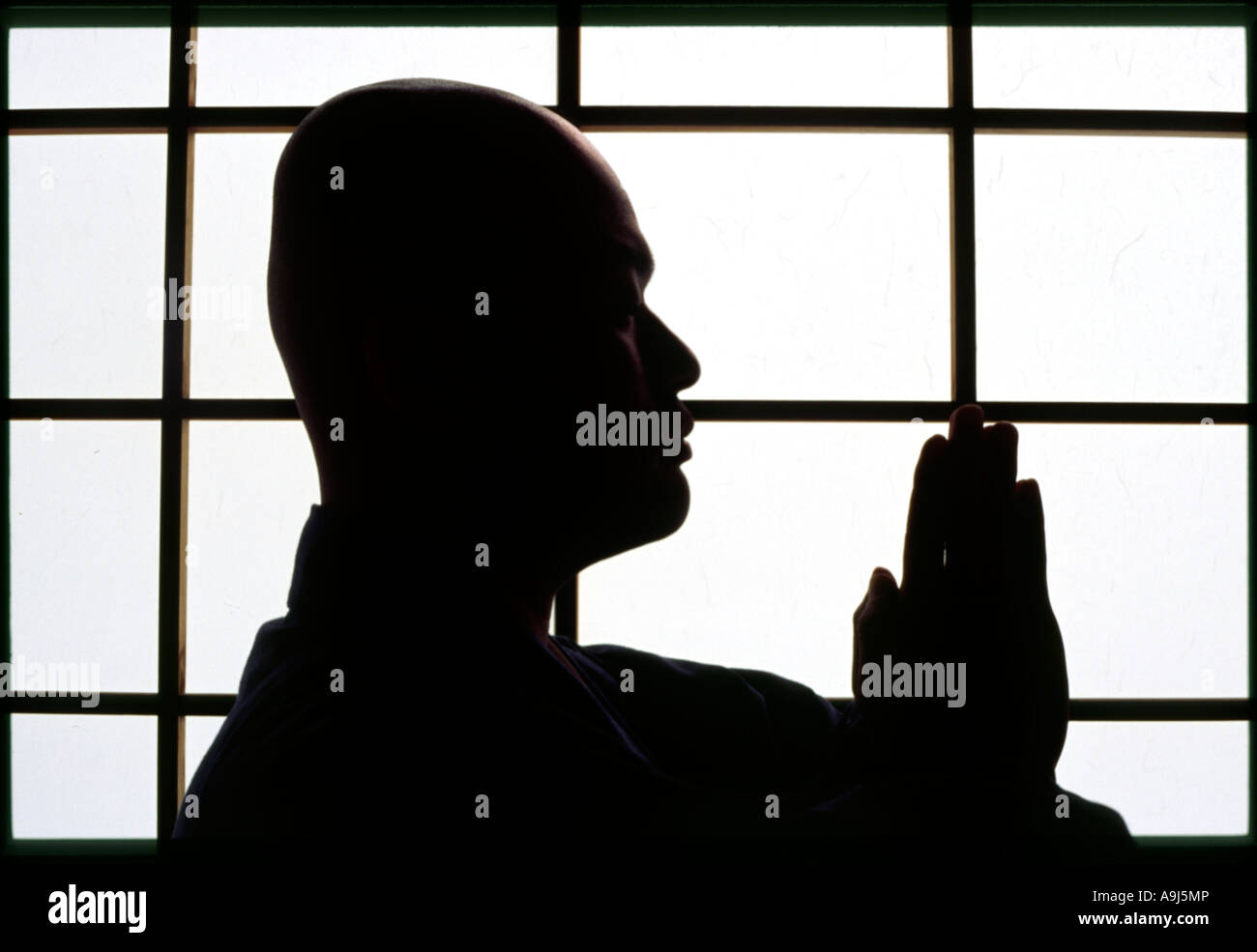 A Zen monk of the Soto School performs gassho salutation at the Seiryu ...
