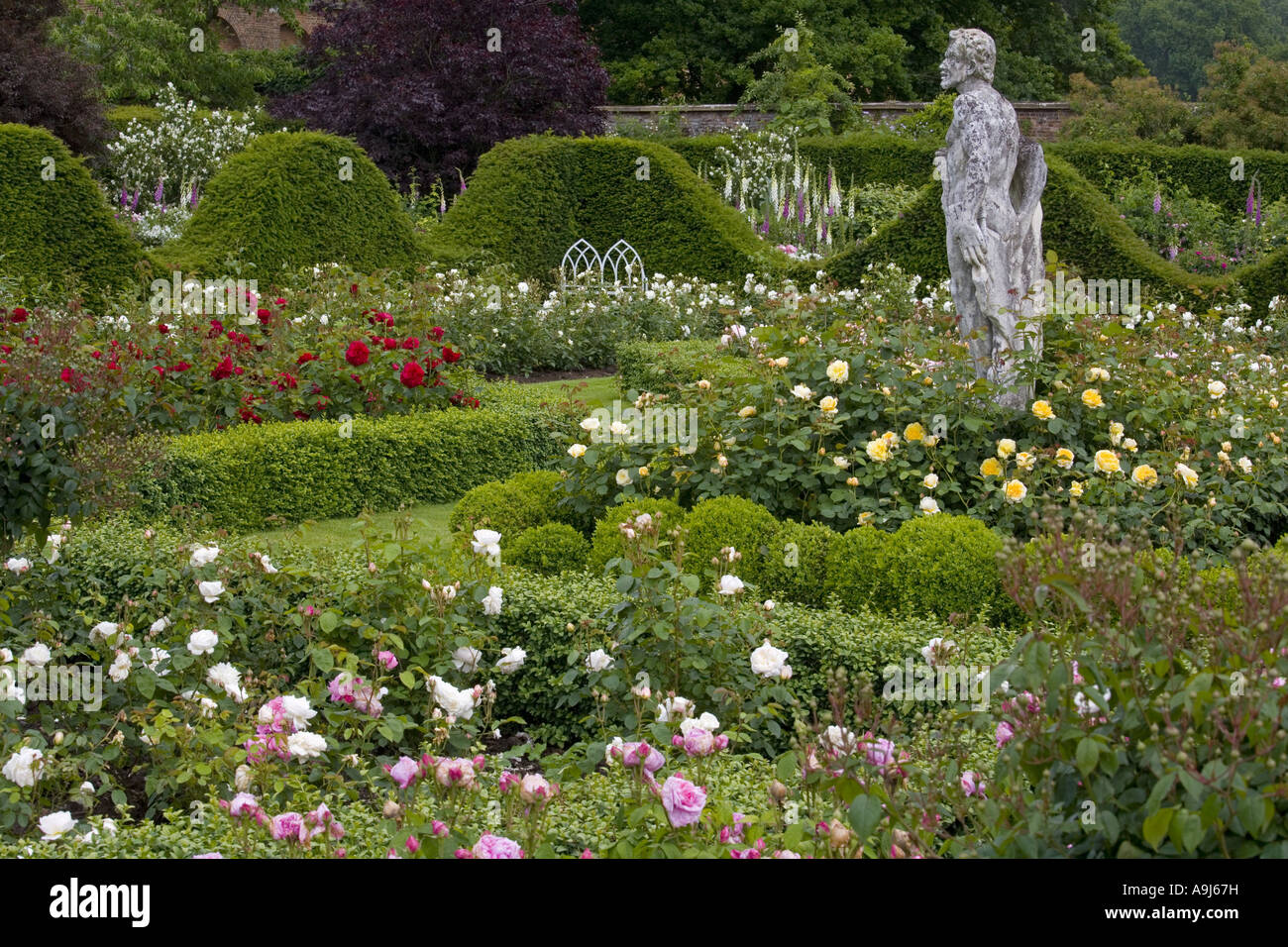 Houghton Hall Rose Garden Norfolk Stock Photo - Alamy