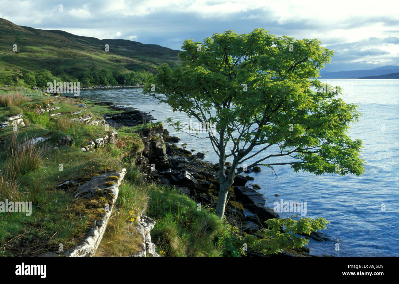 british scotland the island of scalpay Stock Photo - Alamy