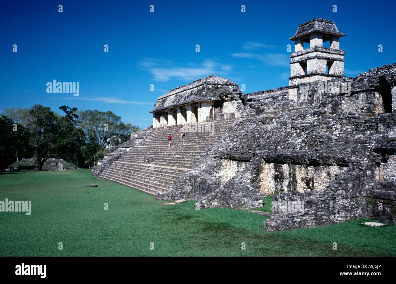 El Palacio at the Mayan ruins of Palenque in the Mexican province of ...