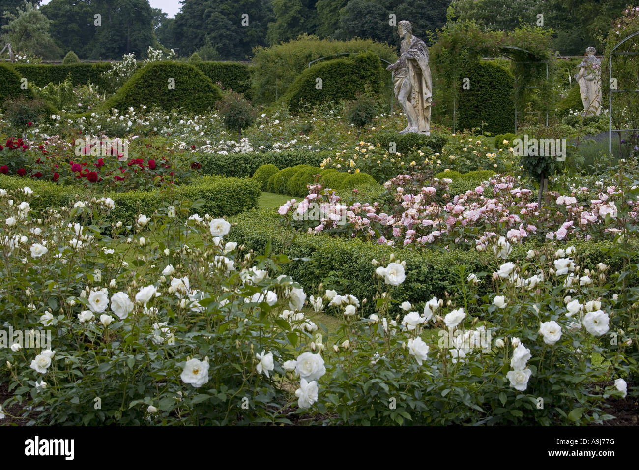 Houghton Hall Rose Garden Norfolk Stock Photo - Alamy