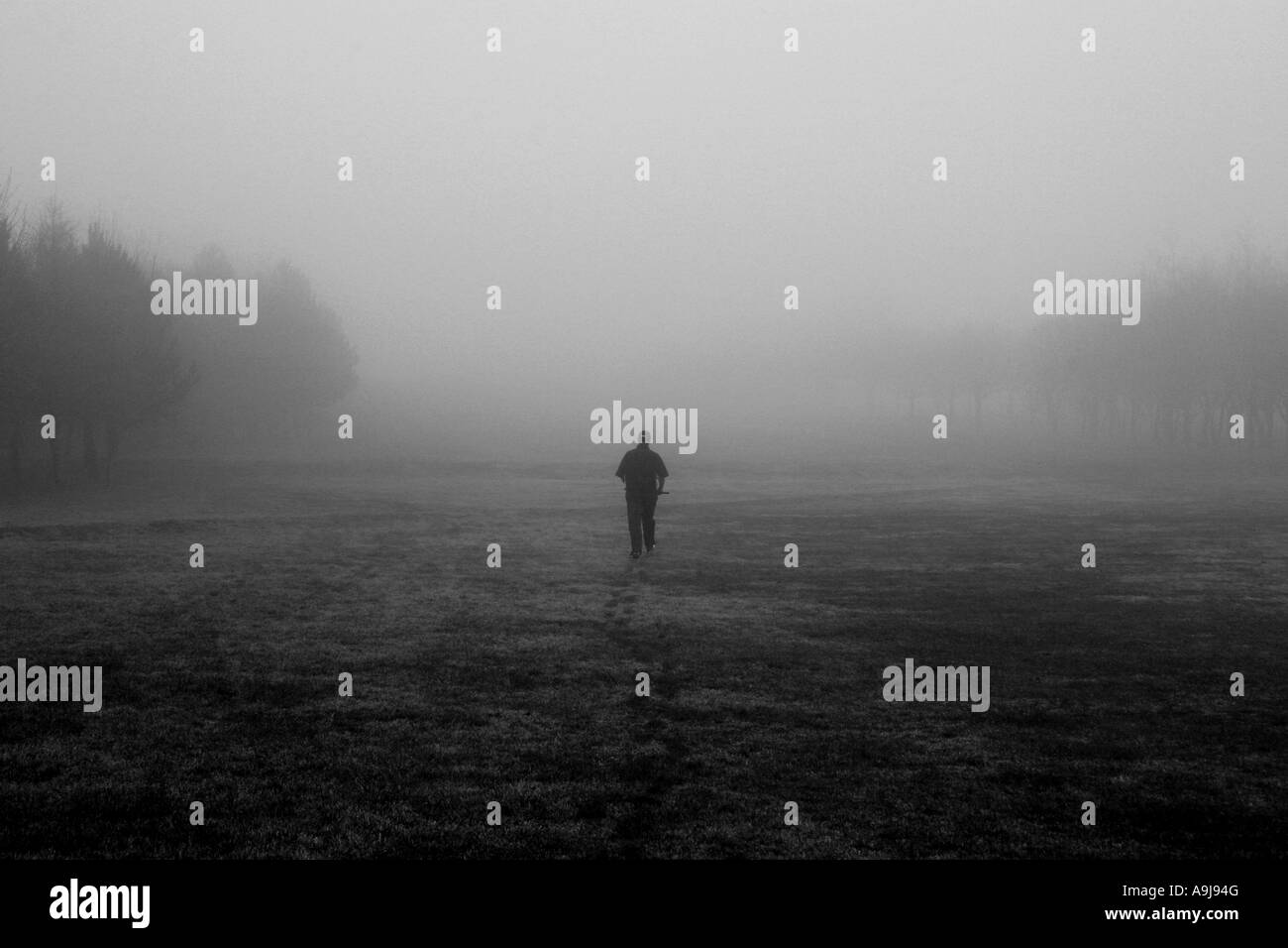 golfer walking into the mist Stock Photo - Alamy