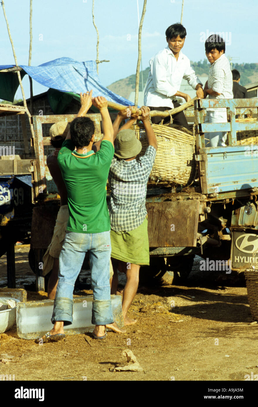 Truck loading fish hi-res stock photography and images - Alamy
