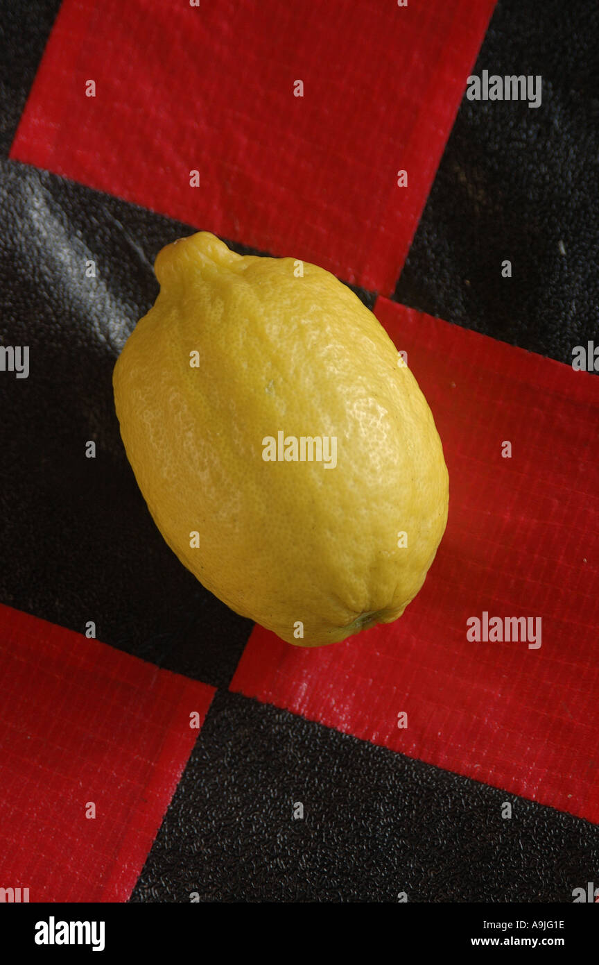 ANG99454 Fruit Lemon Citrus limon Family Rutaceae on black and red ...