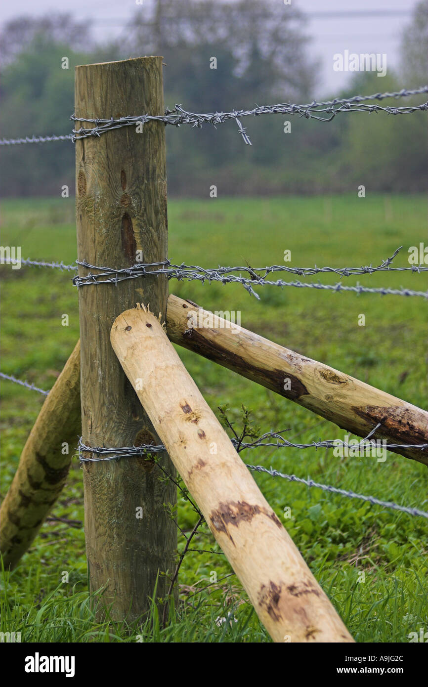 Barbed Wire Fence Stock Photo - Alamy