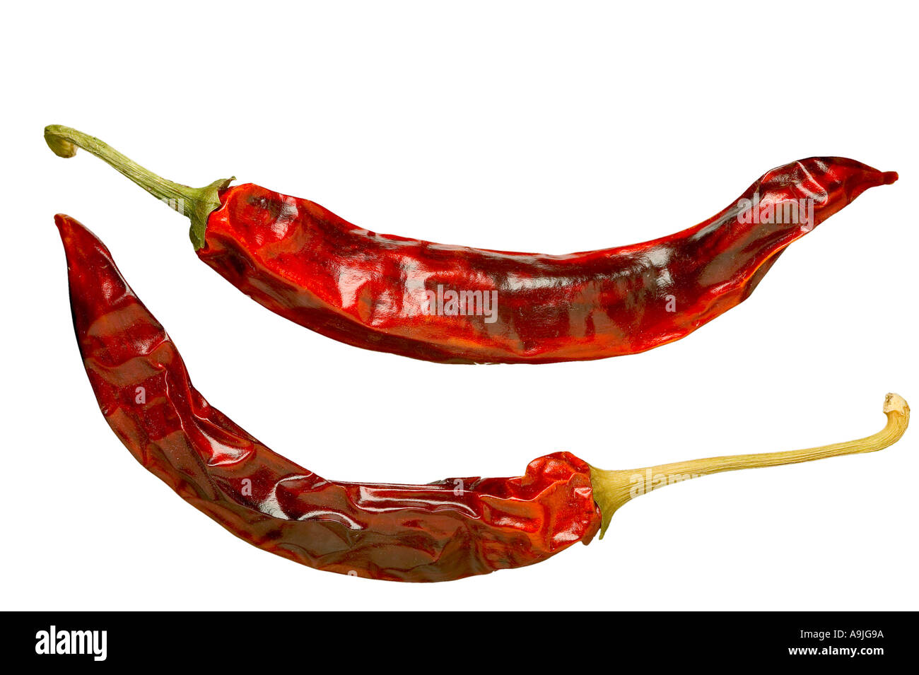 two chili peppers Stock Photo - Alamy