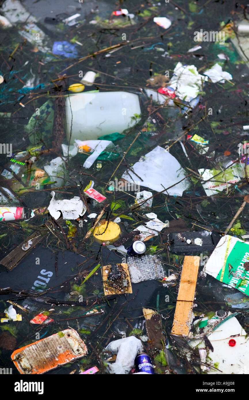 rubbish floating in Stockholms water Stock Photo - Alamy