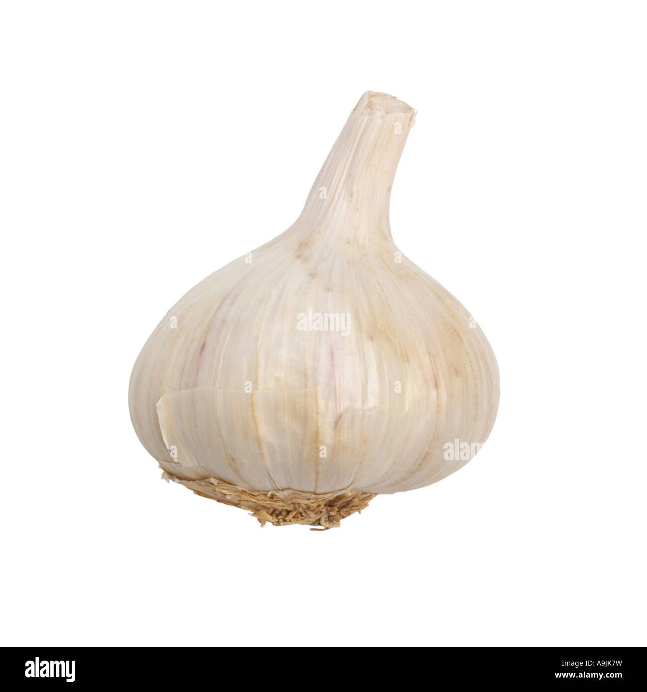 Whole bulb hi-res stock photography and images - Alamy