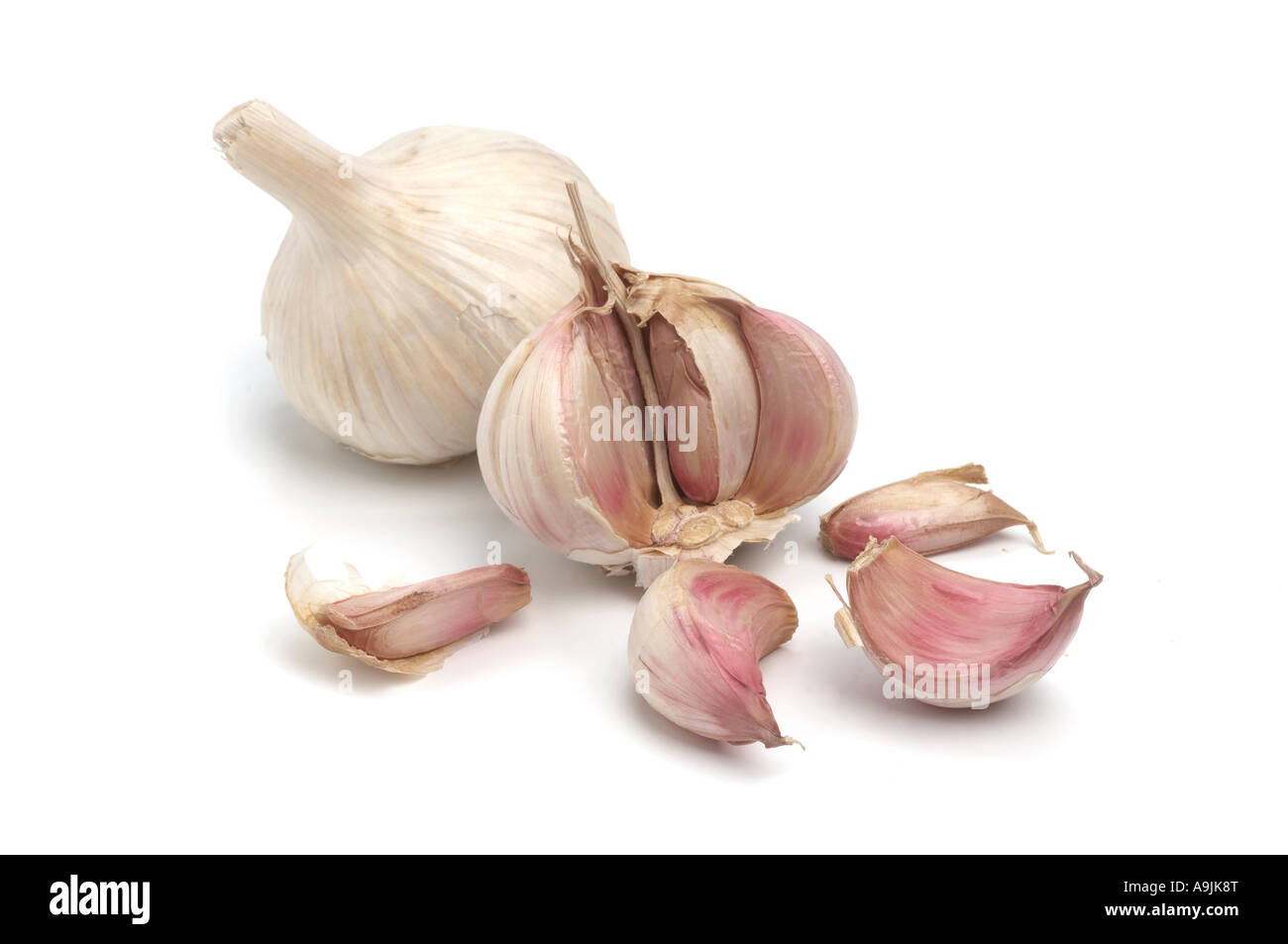 Garlic Bulbs one opened showing individual cloves Stock Photo - Alamy