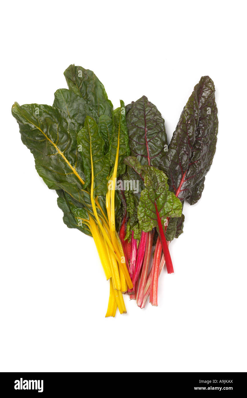 Red and Yellow Swiss Chard Stock Photo - Alamy