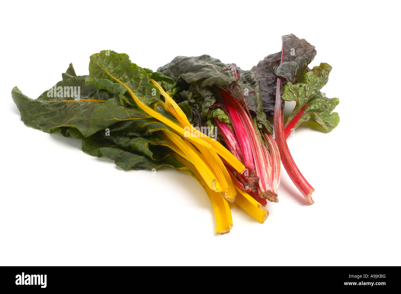 Red and Yellow Swiss Chard Stock Photo - Alamy