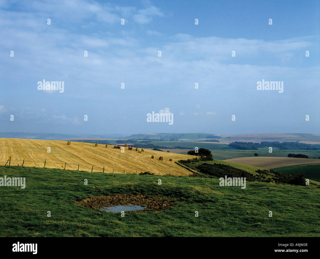 Harvest time on The South Downs at Ditchling Beacon north of Brighton ...