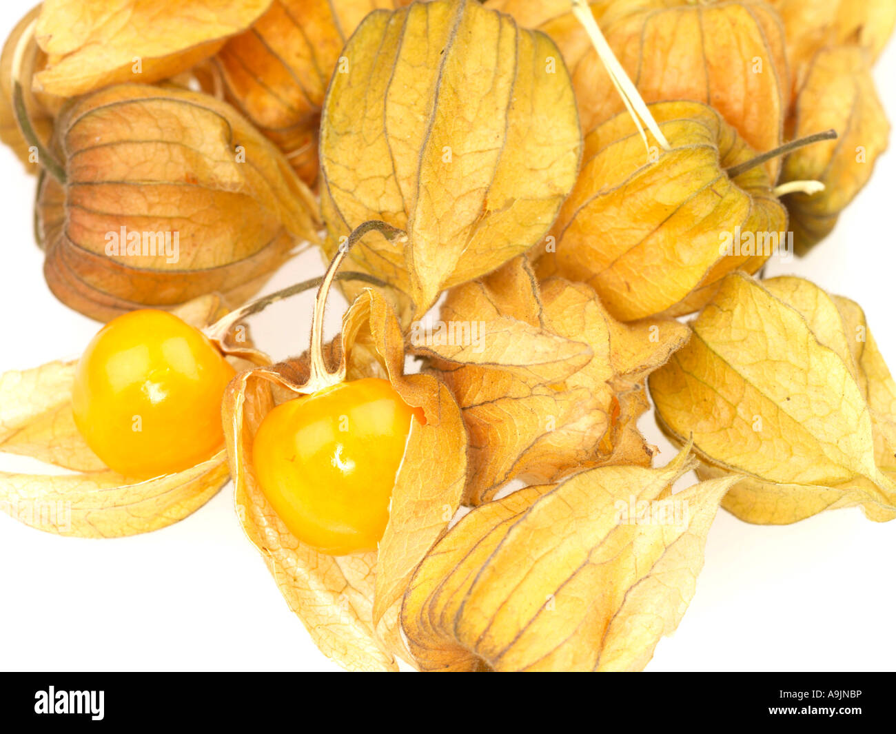 Fresh Healthy Tropical Physalis Fruit Against A White Background With ...