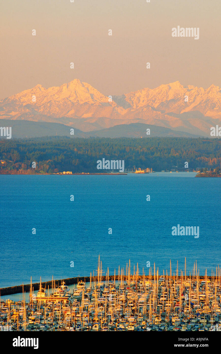 Puget sound marinas hi-res stock photography and images - Alamy