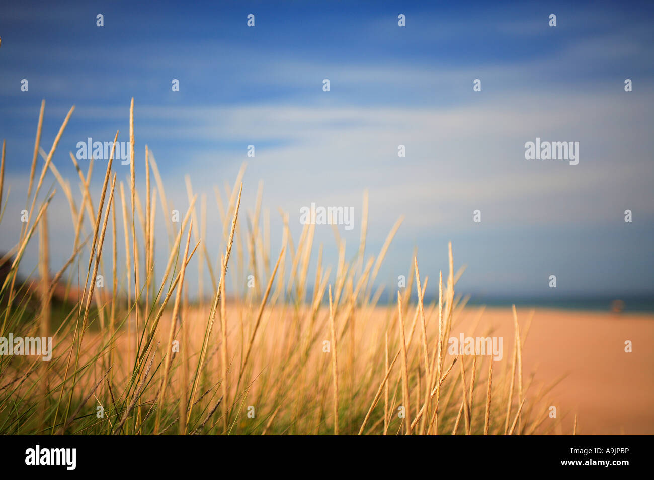Xeresa Beach Spain Europe Stock Photo - Alamy