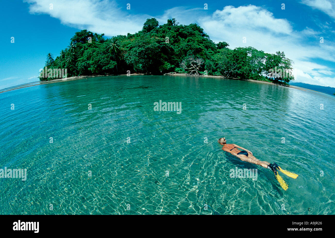 Snorkeling near an island Scin diver Stock Photo - Alamy