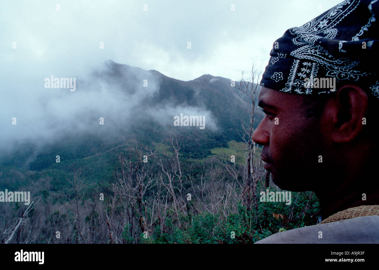 Huli guide at the mount Kerawa Stock Photo - Alamy