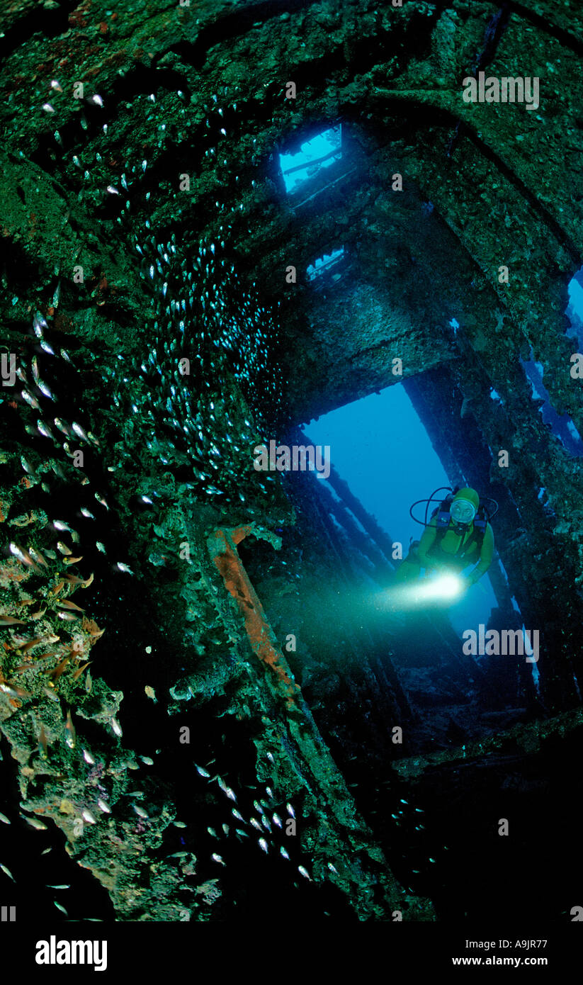 ship wreck and scuba diver wreck diving Stock Photo - Alamy ship wreck and scuba diver wreck diving Stock Photo - Alamy
