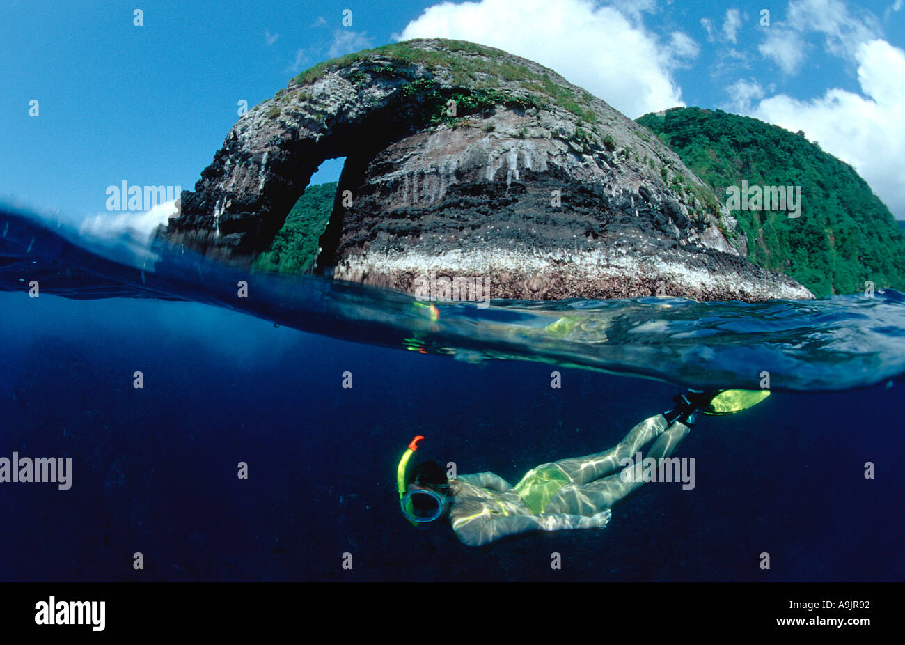 Skindiving Skin diver split image Stock Photo - Alamy