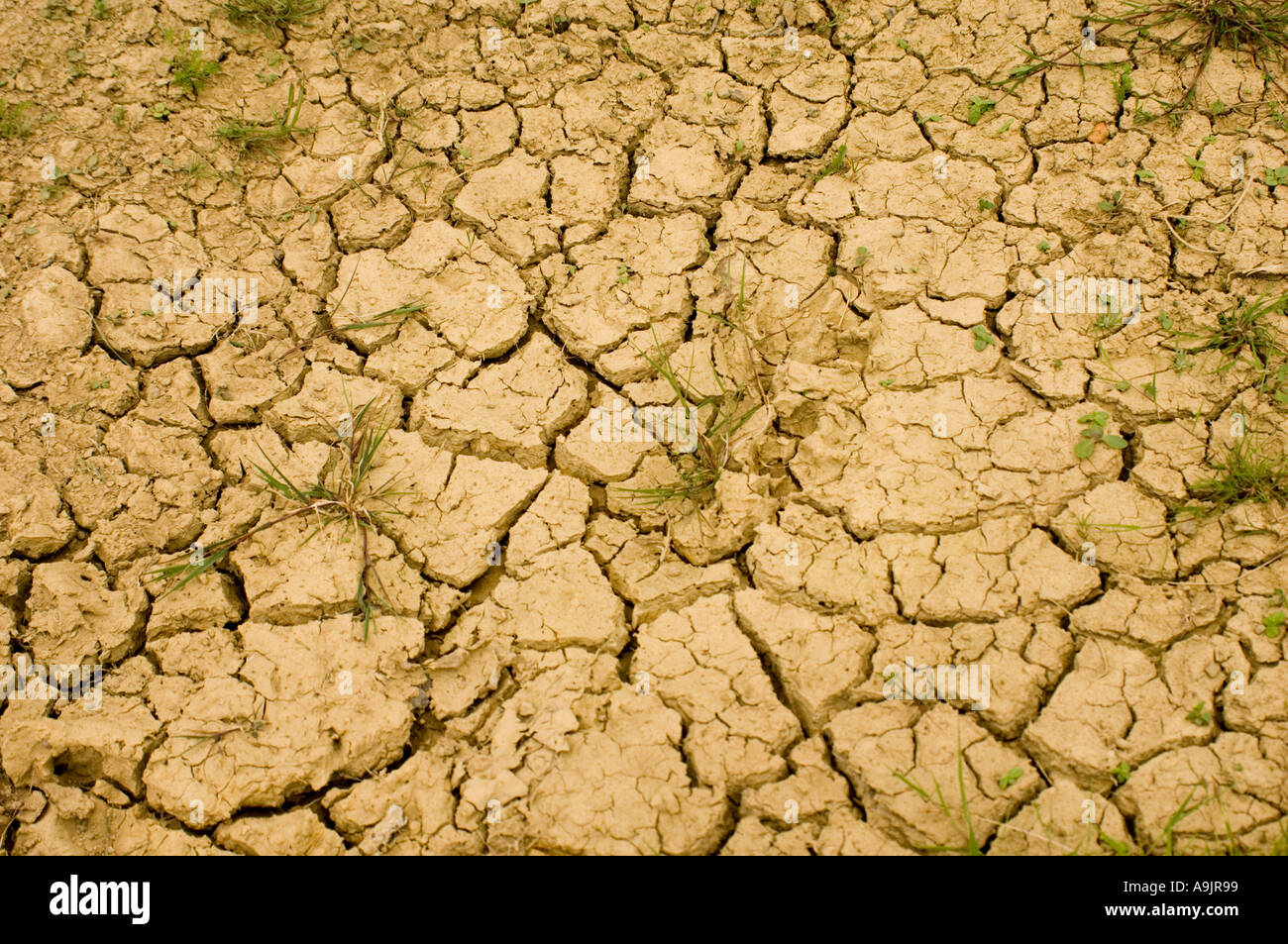 cracked earth dry river bed Stock Photo - Alamy