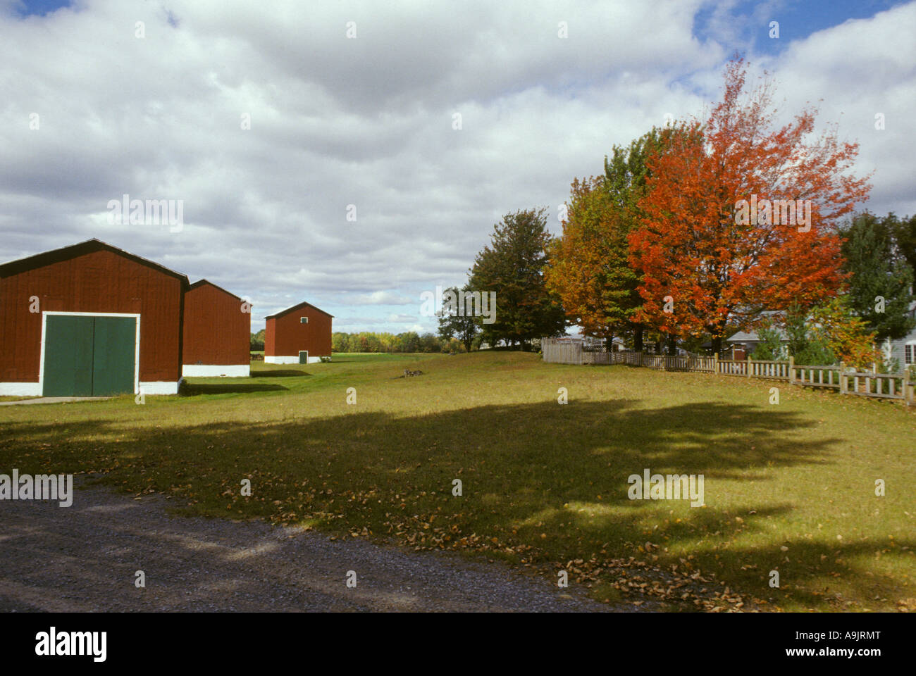 Canada Canadian North America red barns fall autumn fall foliage ...