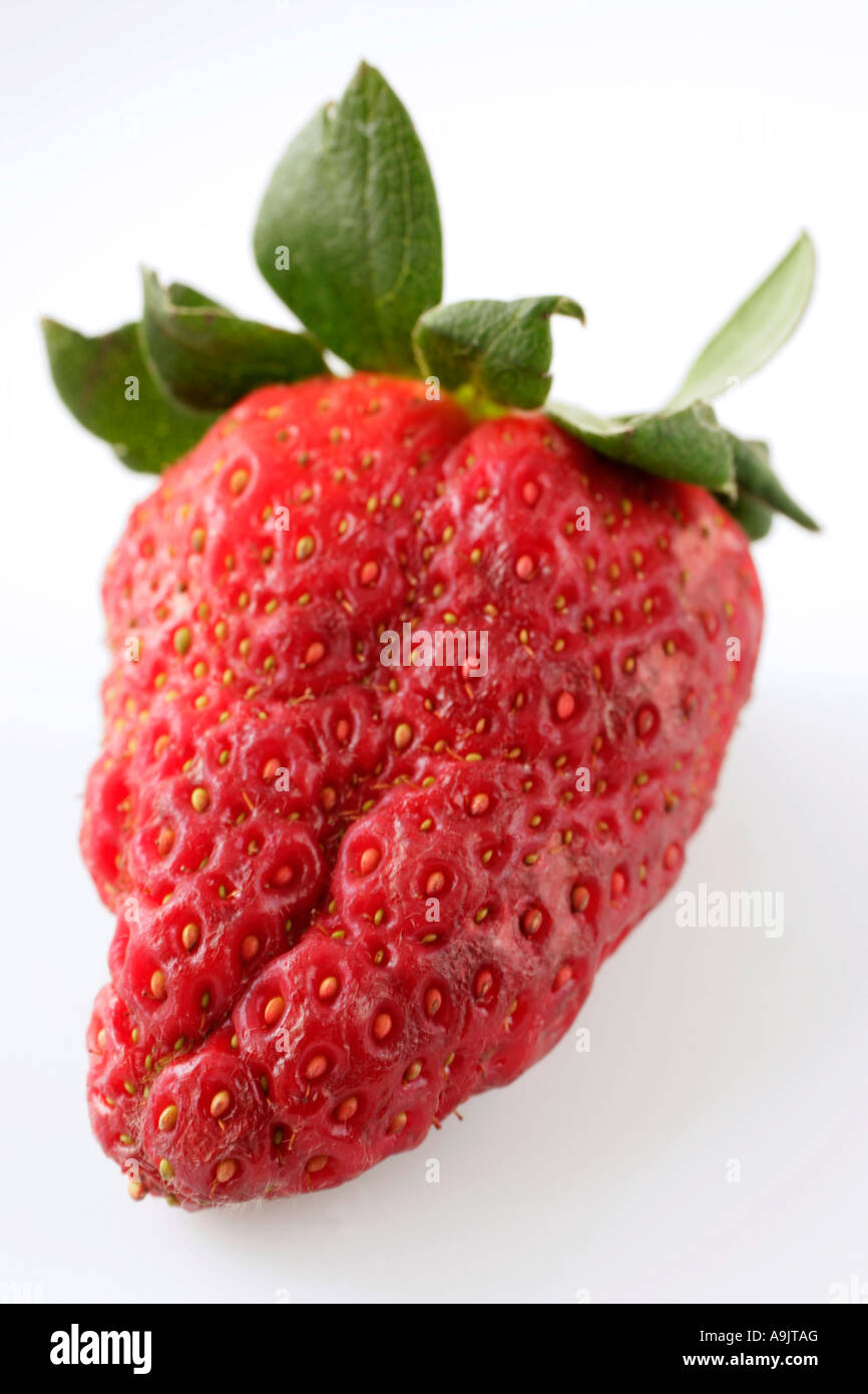 A single strawberry Stock Photo - Alamy