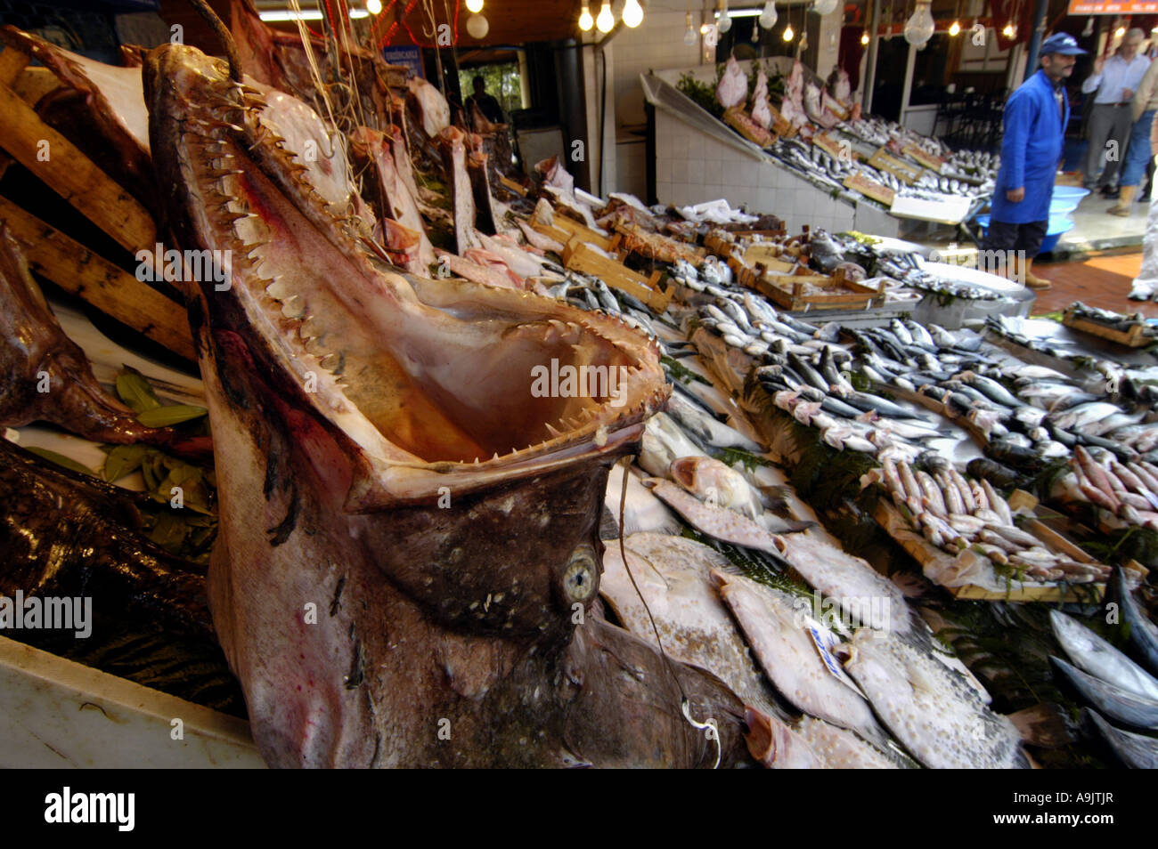 Fish market Istanbul Stock Photo - Alamy
