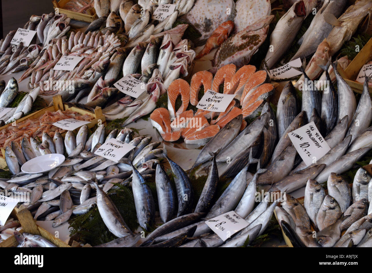 Fish stall on Kumkapi market Istanbul Stock Photo - Alamy