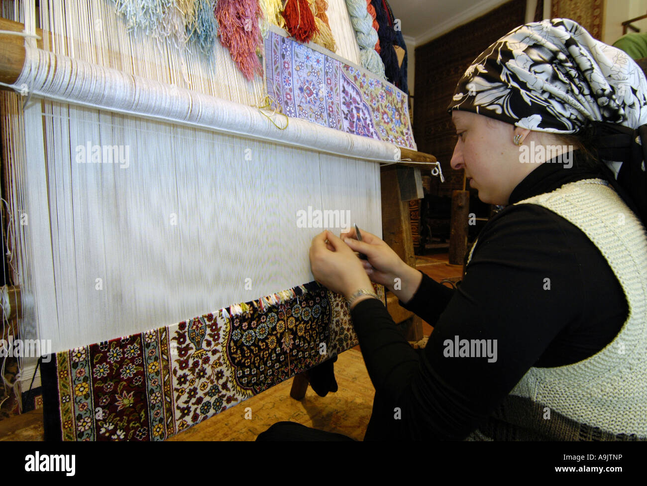 Turkey wool hi-res stock photography and images - Alamy