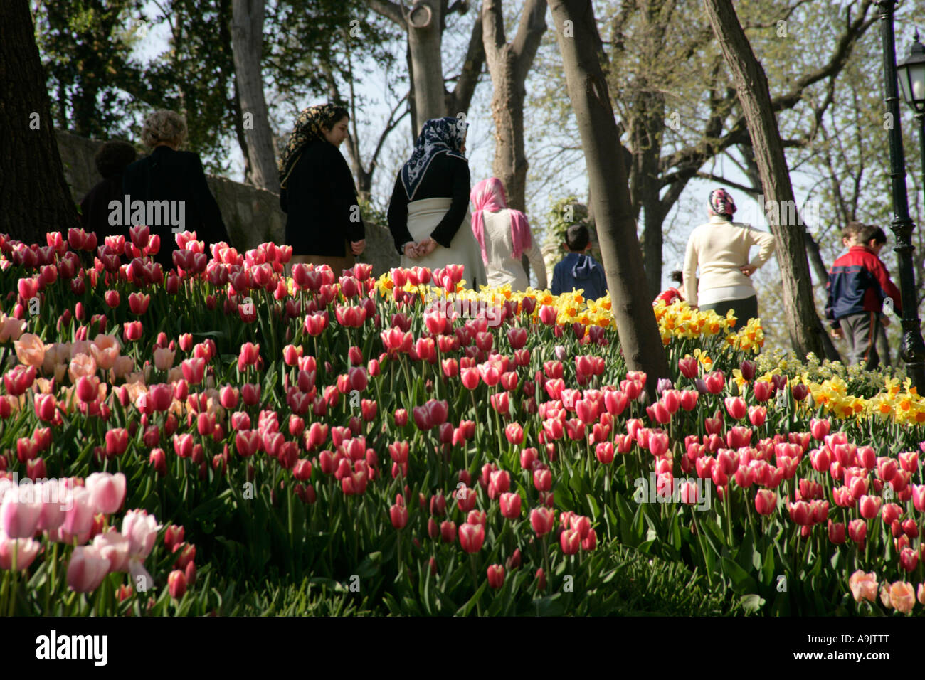 Tulips at Emirgan Park, Istanbul, Turkey Stock Photo - Alamy