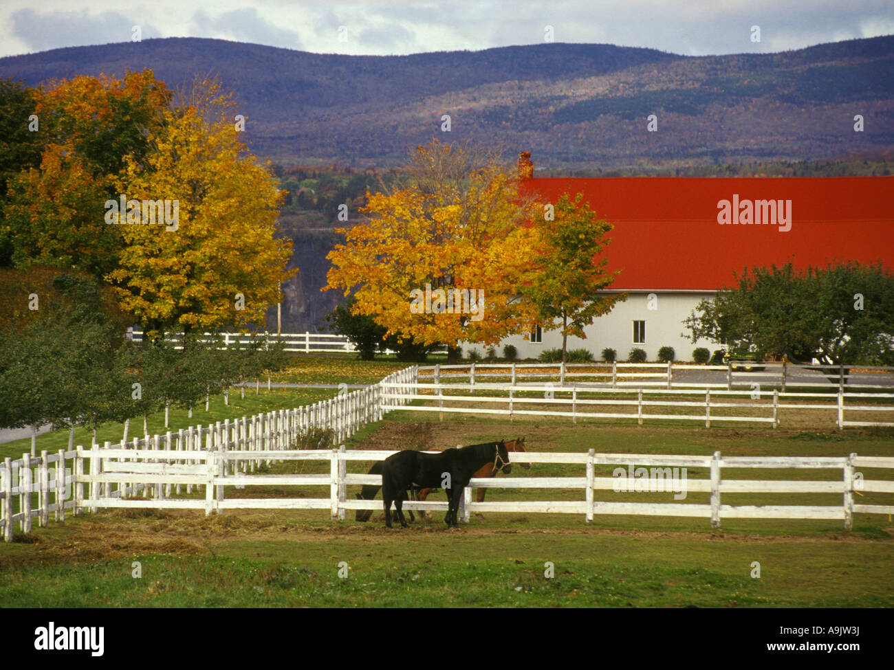 Canada canadian landscape fall autumn farm horse red roof barn foliage ...