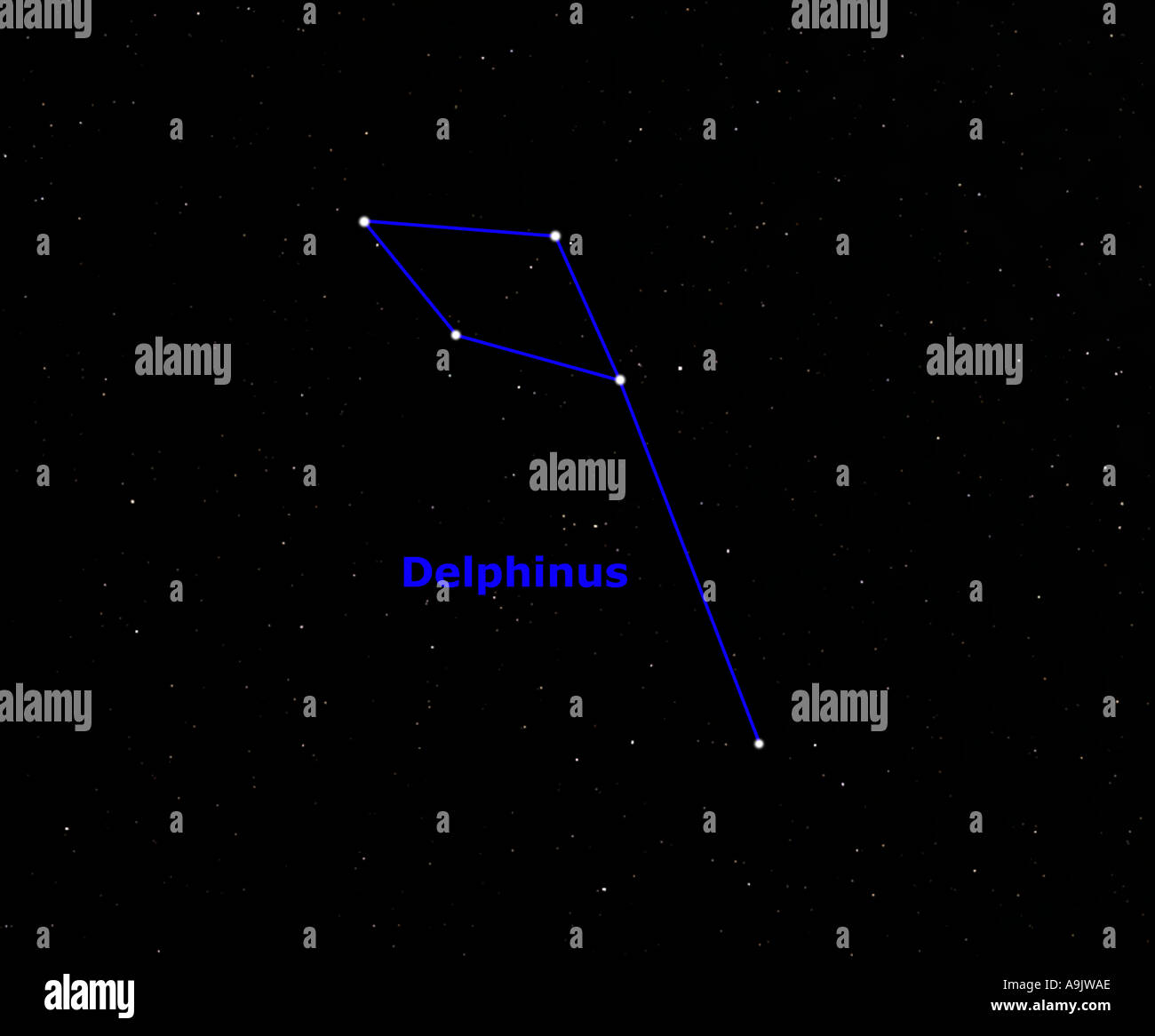 Delphinus constellation hi-res stock photography and images - Alamy