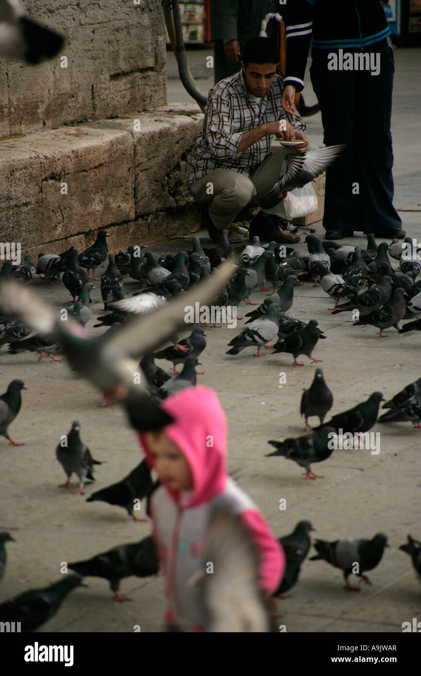 Pigeons outside the New Mosque, Istanbul, Turkey Stock Photo - Alamy