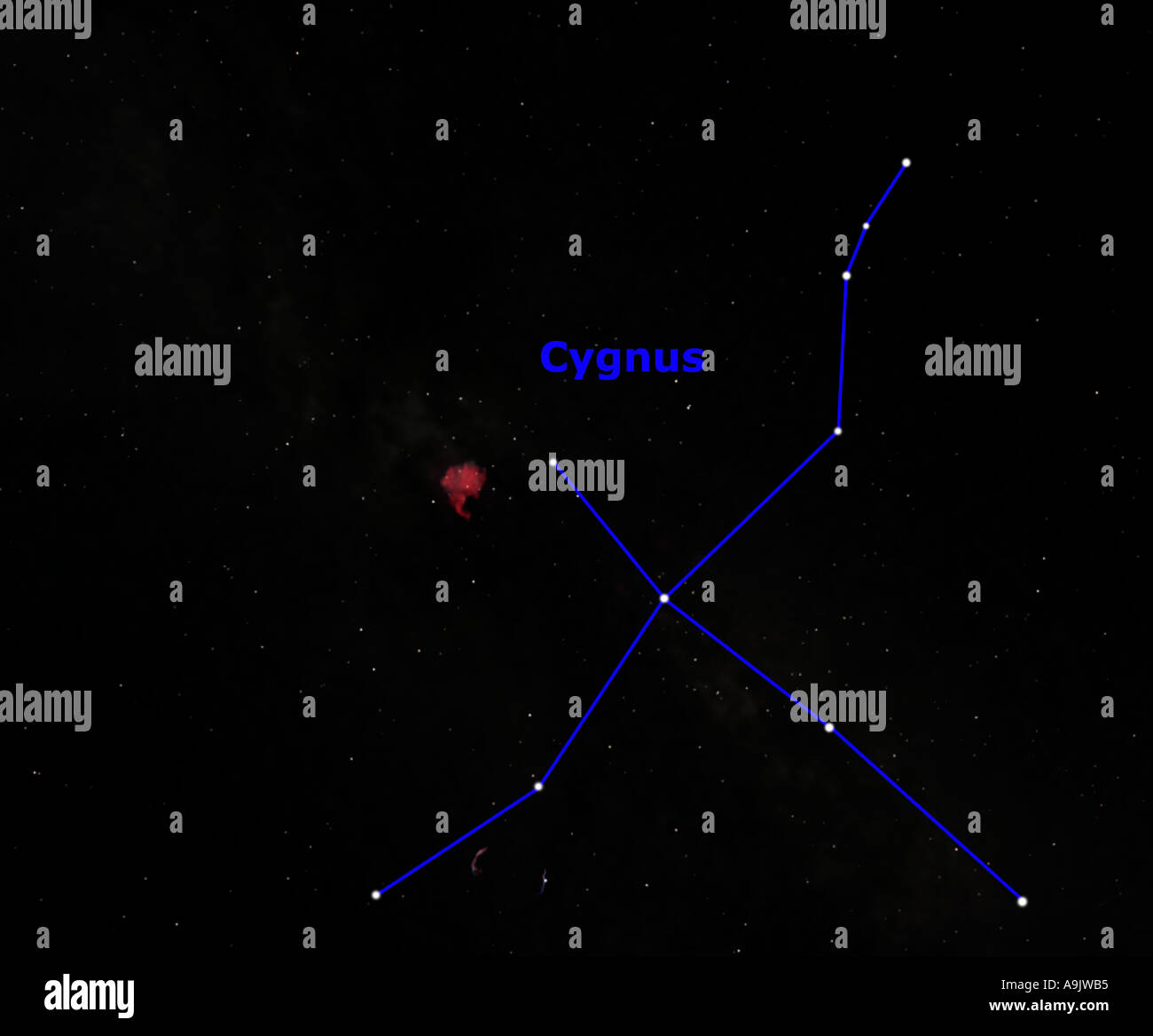 Cygnus constellation hi-res stock photography and images - Alamy