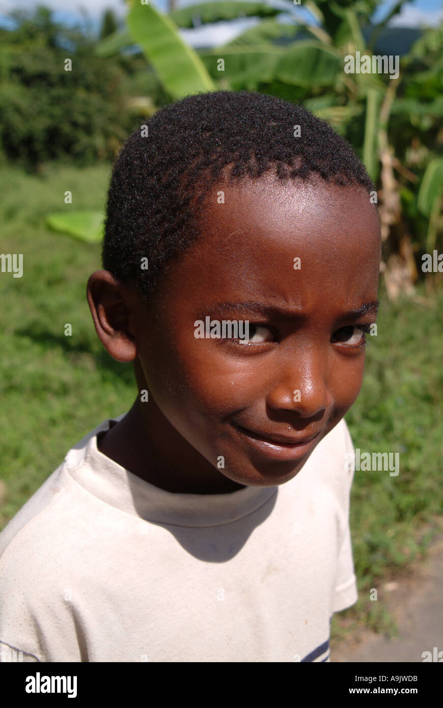 Portrait of a young Afro Caribbean boy in Antigua, West Indies Stock ...
