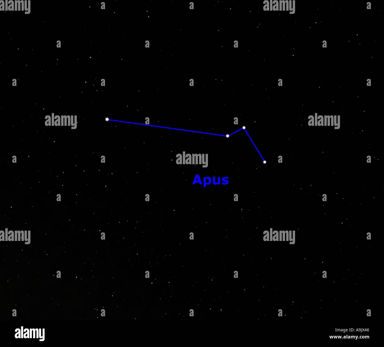 Apus Constellation In The Sky