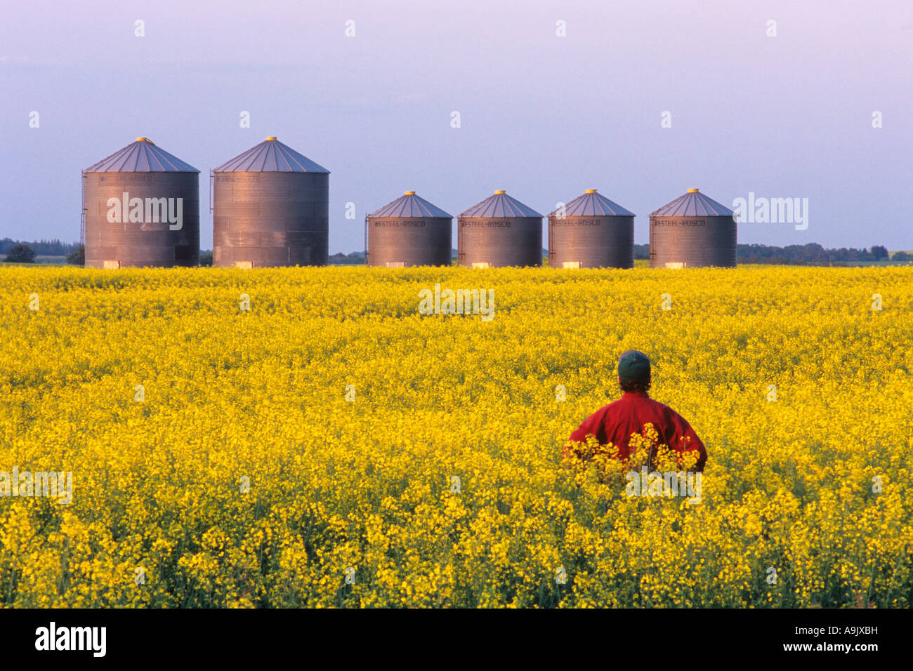 Grain bin man in hi-res stock photography and images - Alamy
