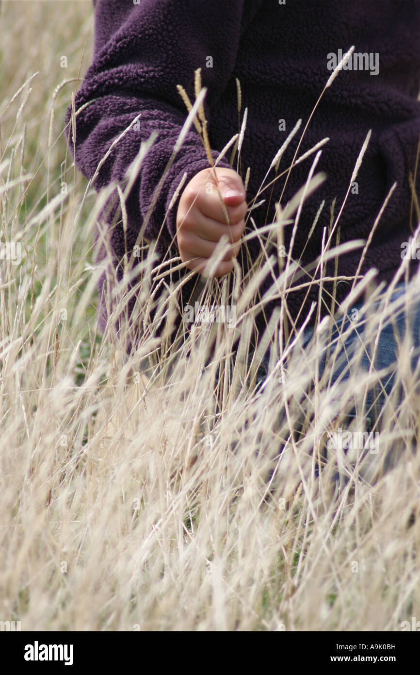 young girl picking long grass Stock Photo - Alamy