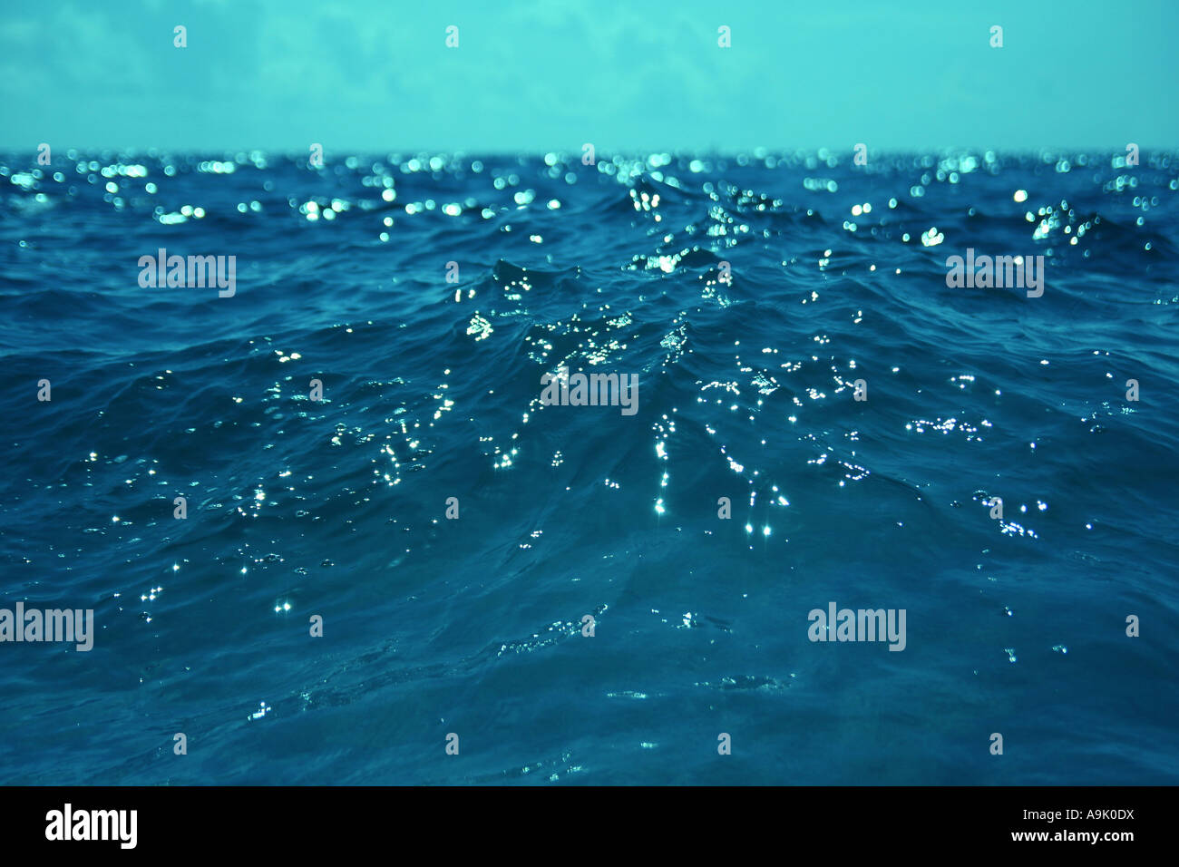close up of sea Stock Photo - Alamy