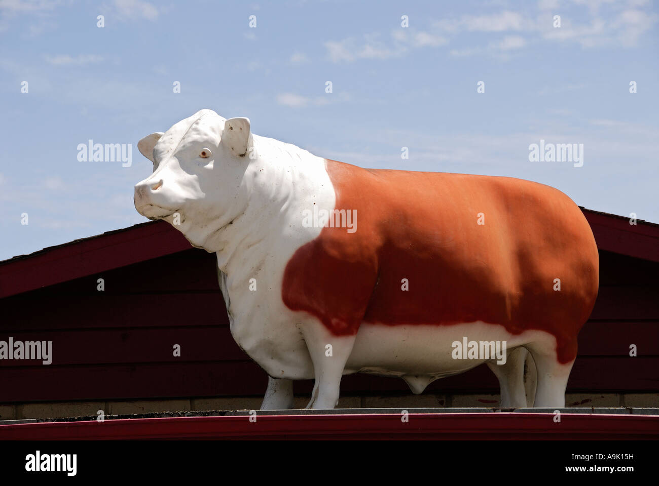 "Model of a bull advertising a delicatessen and beef store, California ...