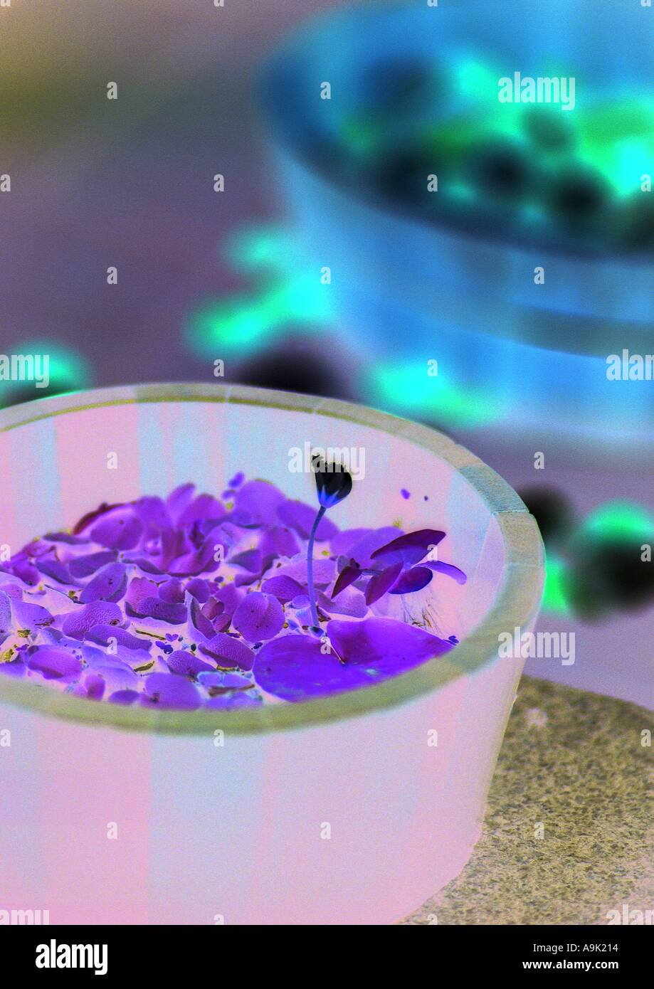 Vertical photo wet male hi-res stock photography and images - Alamy