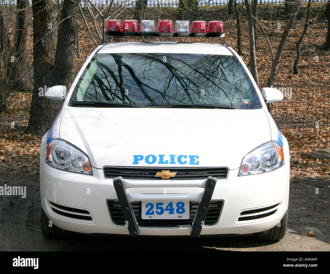 Police car in Central Park New York City USA Stock Photo - Alamy
